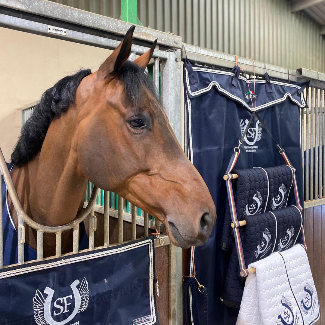 Boomerang Horse & Country Store – Boomerang Equestrian