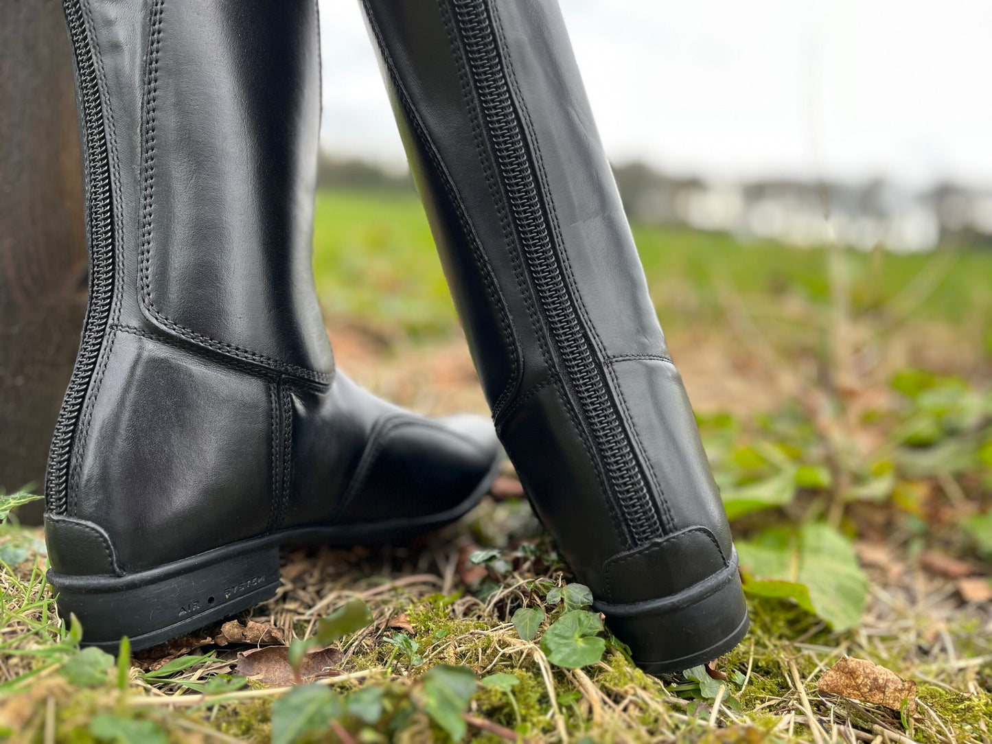 Breeze Up Eclipse Leather Exercise Boot Black – Boomerang Equestrian